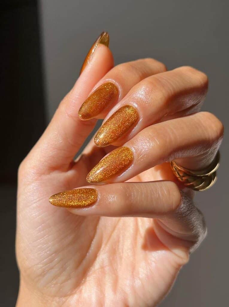 27+ Stunning Fall Nails for 2024 - simple, trendy, chic designs!